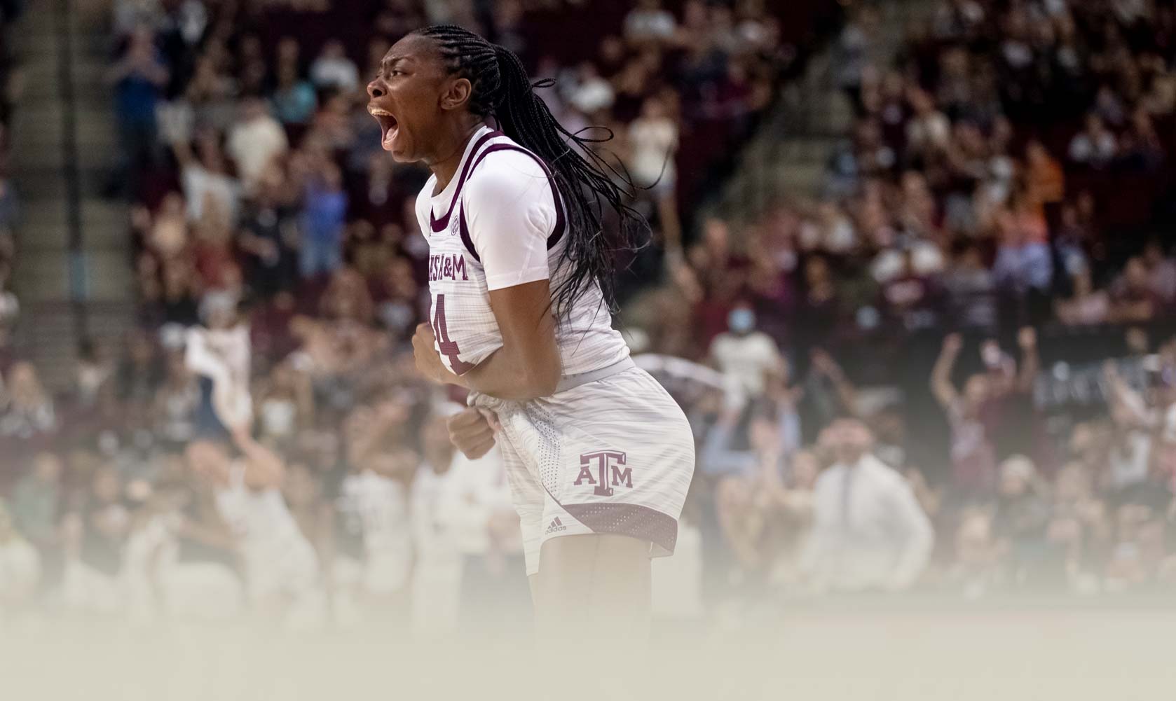 Fall Sports Season Ticket Renewals | 12th Man Foundation